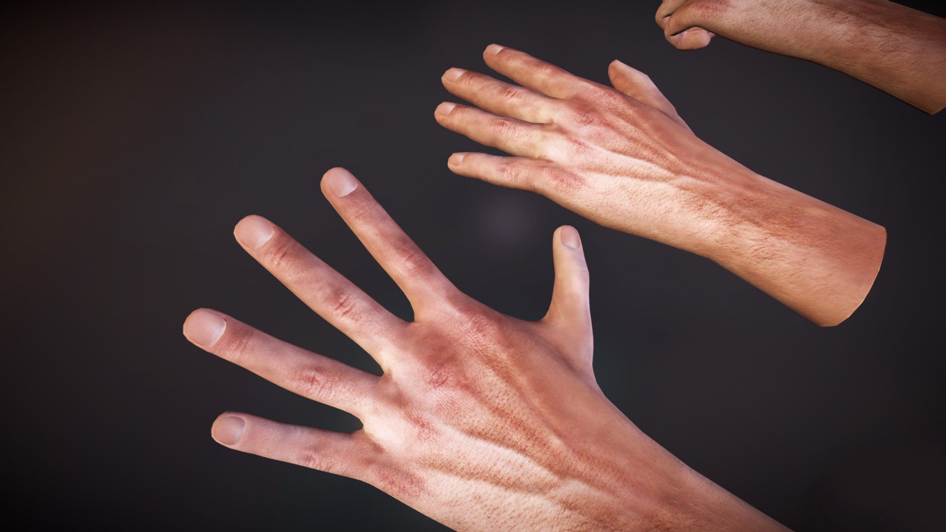Hand Male Anatomy 3D Model - TurboSquid 1635440