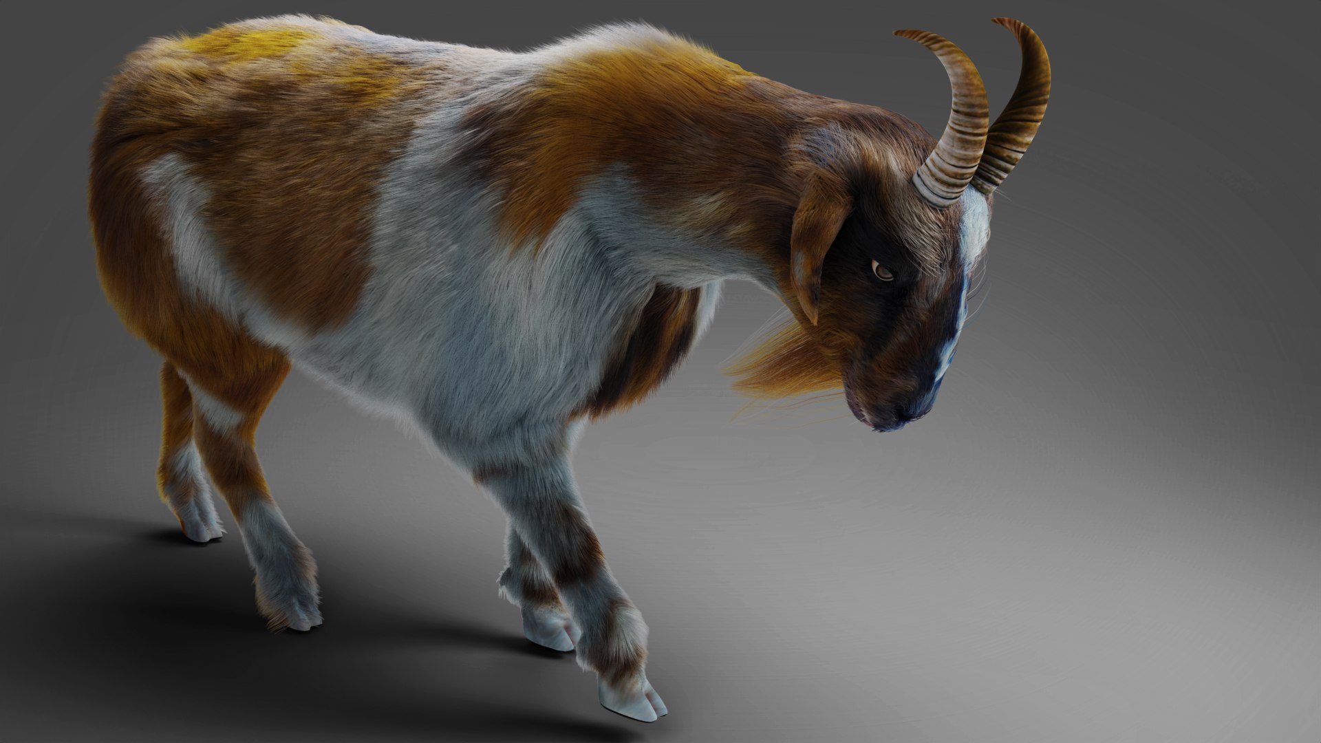 Fur Goat 01 Rigged and Animation in Blender 3D model - TurboSquid 2004381
