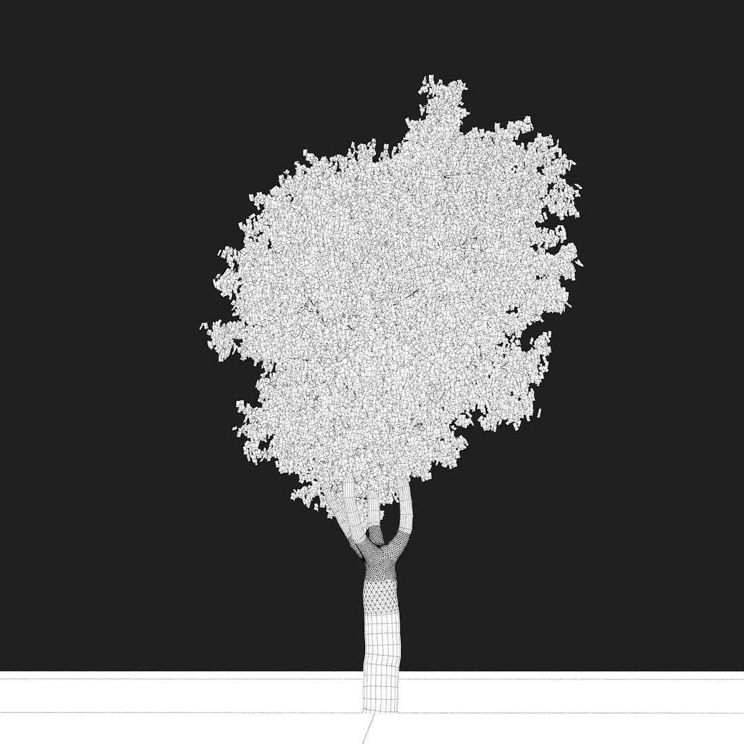 Platanus Tree Bark Types 3d Max