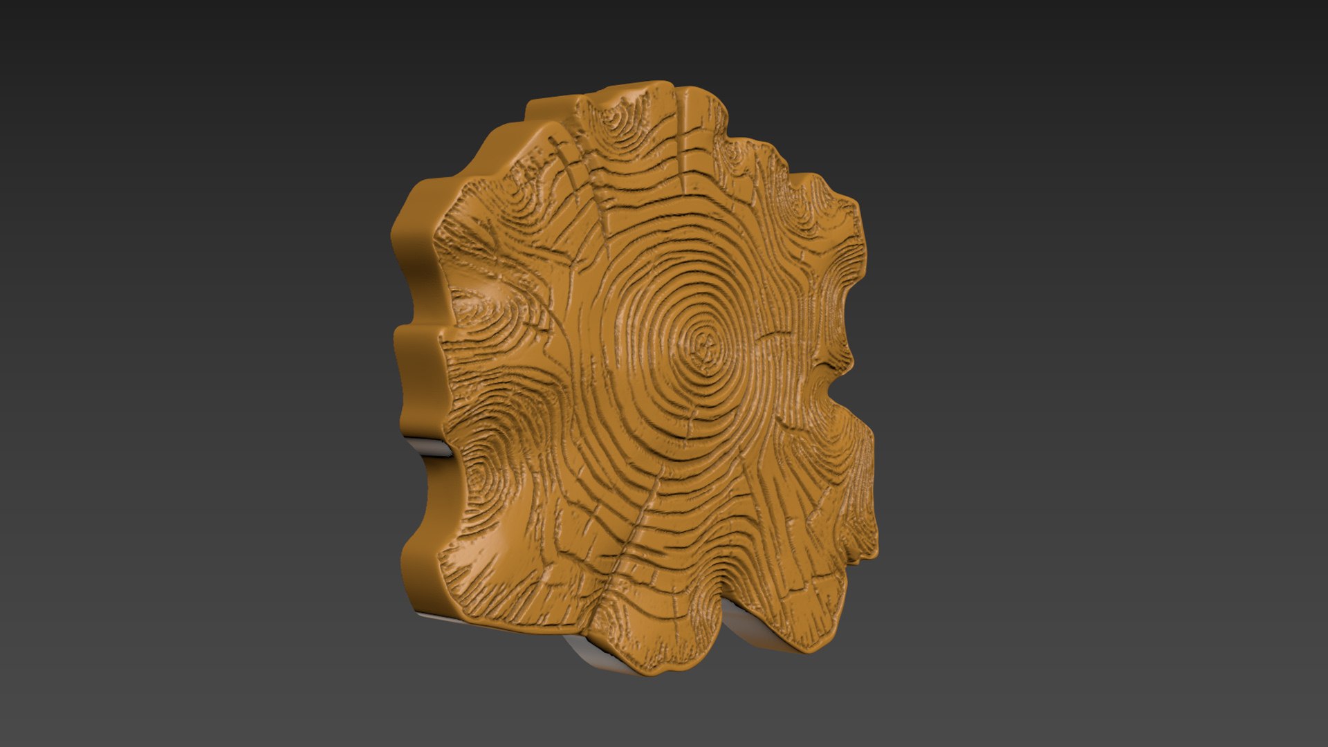 Stump Wood Slice Relief 3D - TurboSquid 2385204