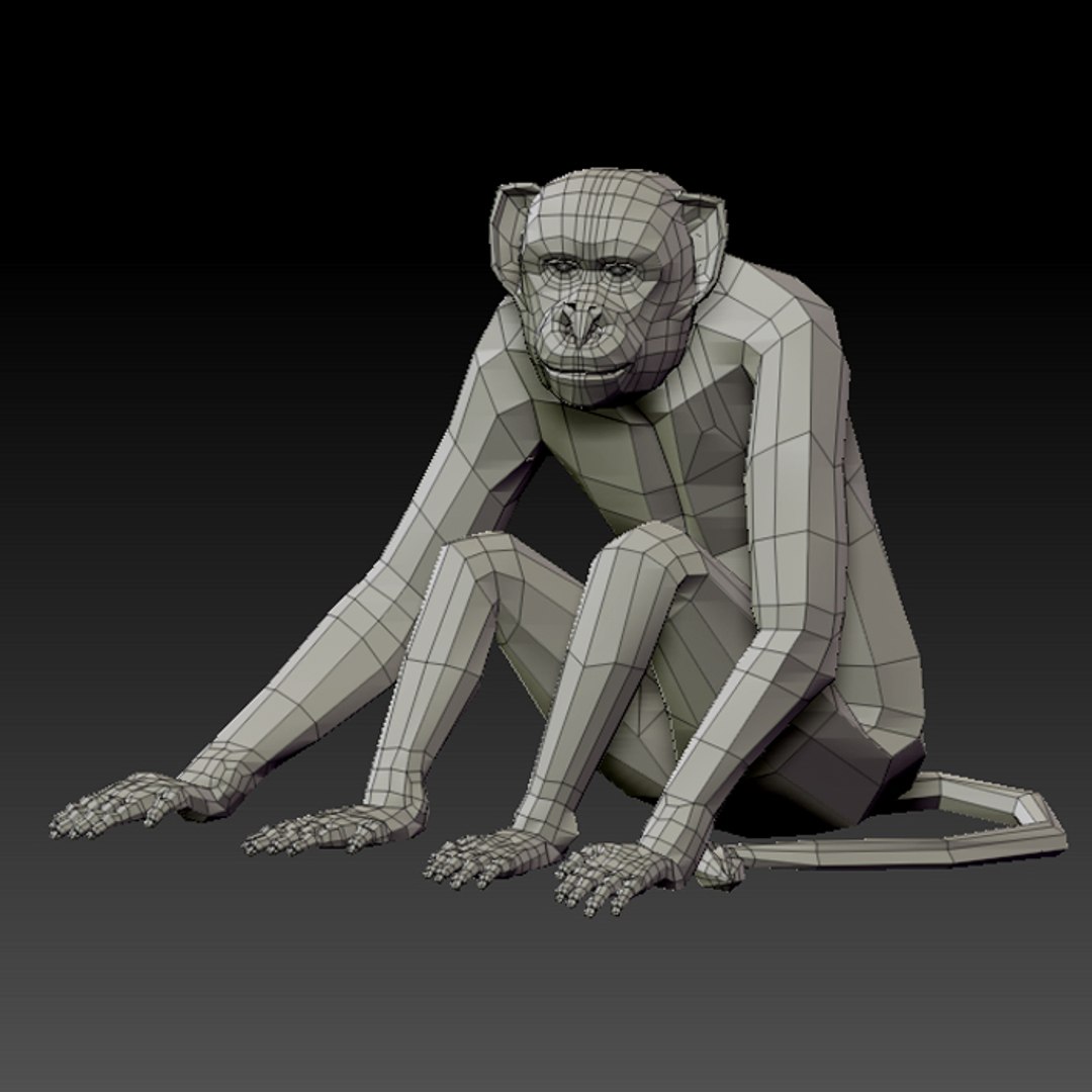 Monkey 3D - TurboSquid 1199283