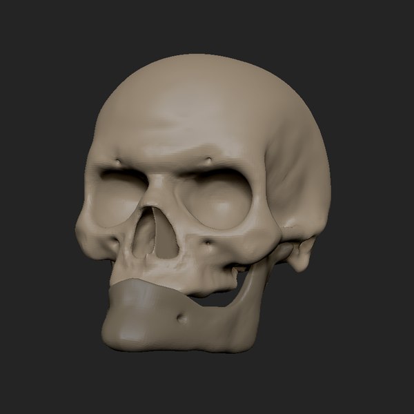 老人头骨（Zbrush）3D模型 - TurboSquid 843268