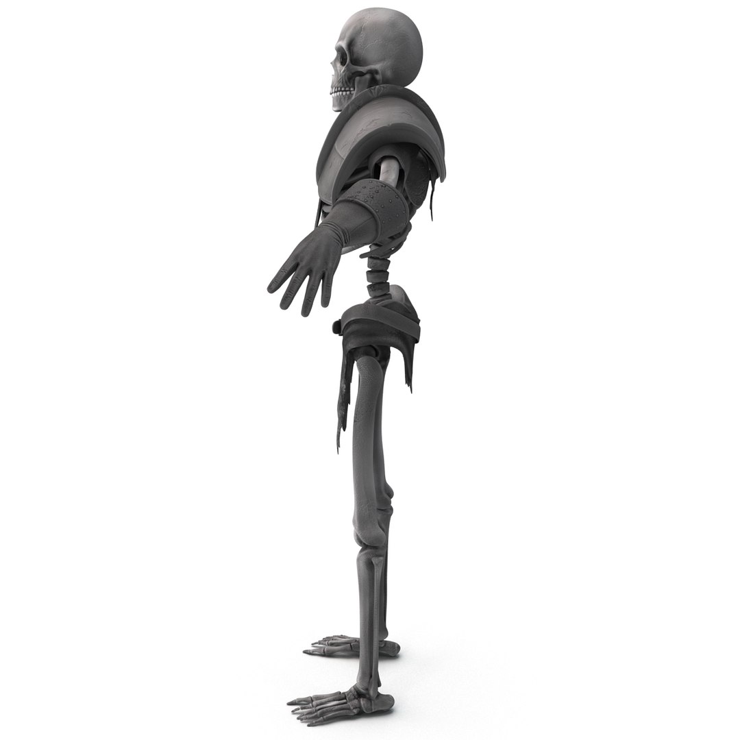 3d Skeleton Fighter