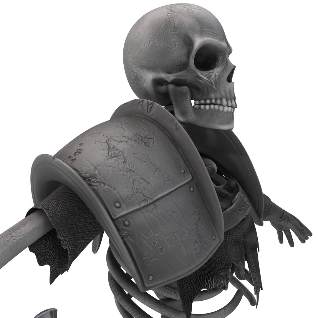 3d Skeleton Fighter