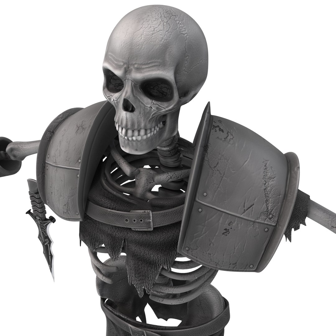 3d Skeleton Fighter