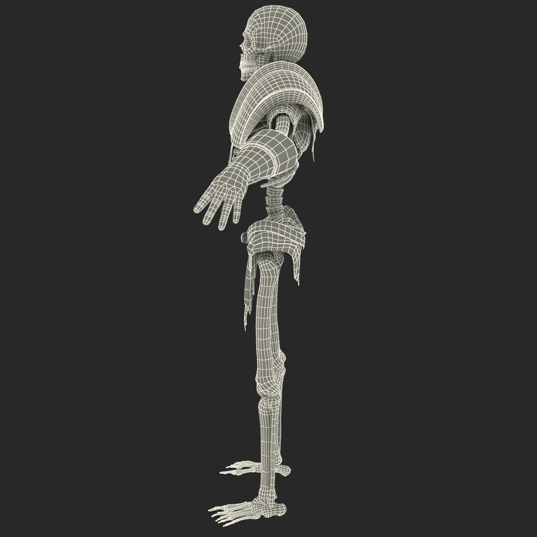 3d Skeleton Fighter