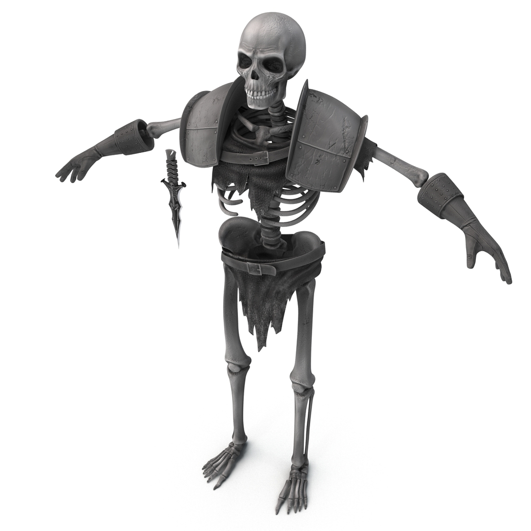 3d Skeleton Fighter