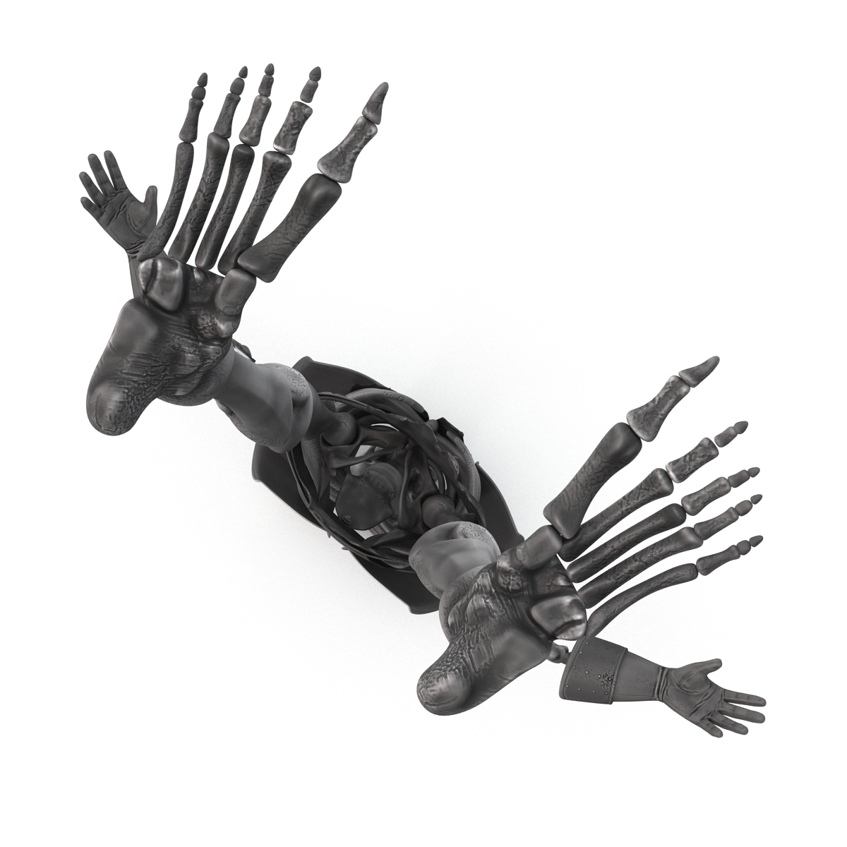 3d skeleton fighter
