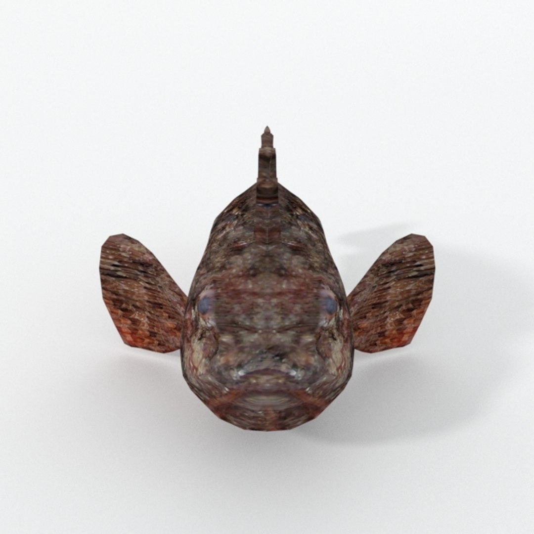 3D Stone Fish - TurboSquid 1400273