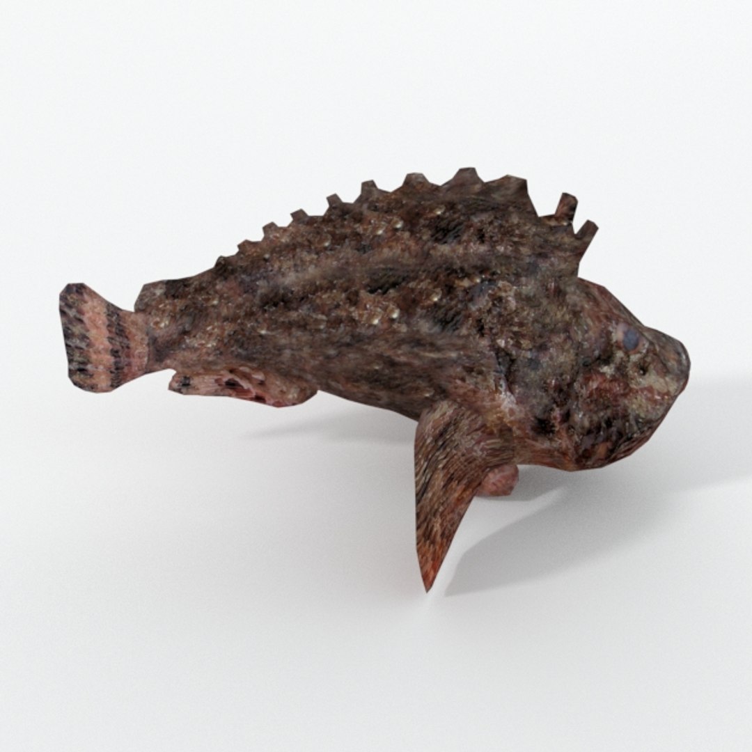3D Stone Fish - TurboSquid 1400273