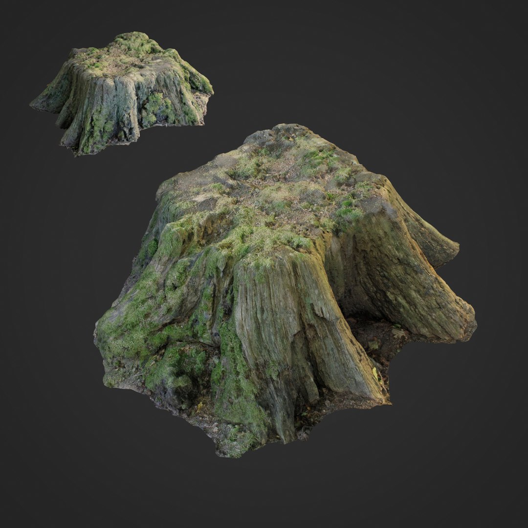 3D Model Stump Pack - TurboSquid 1244844