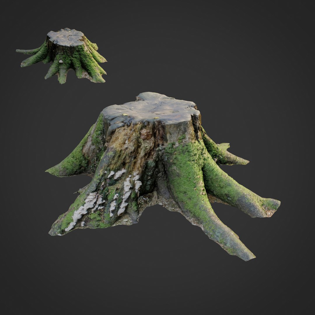 3D Model Stump Pack - TurboSquid 1244844