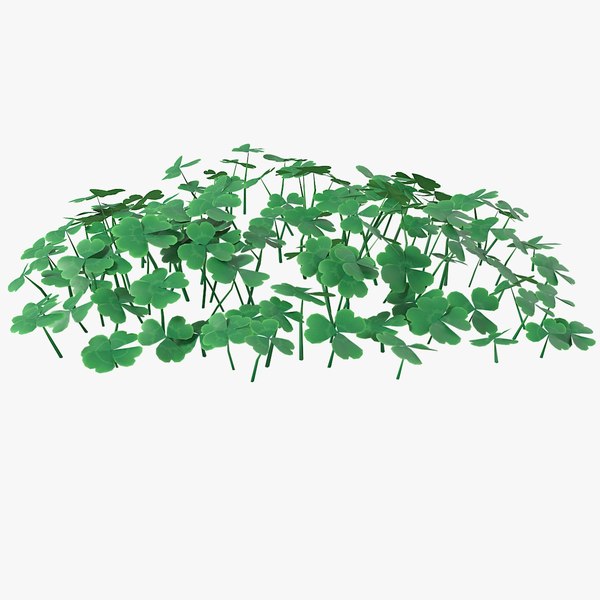 Clover 3D Models for Download | TurboSquid