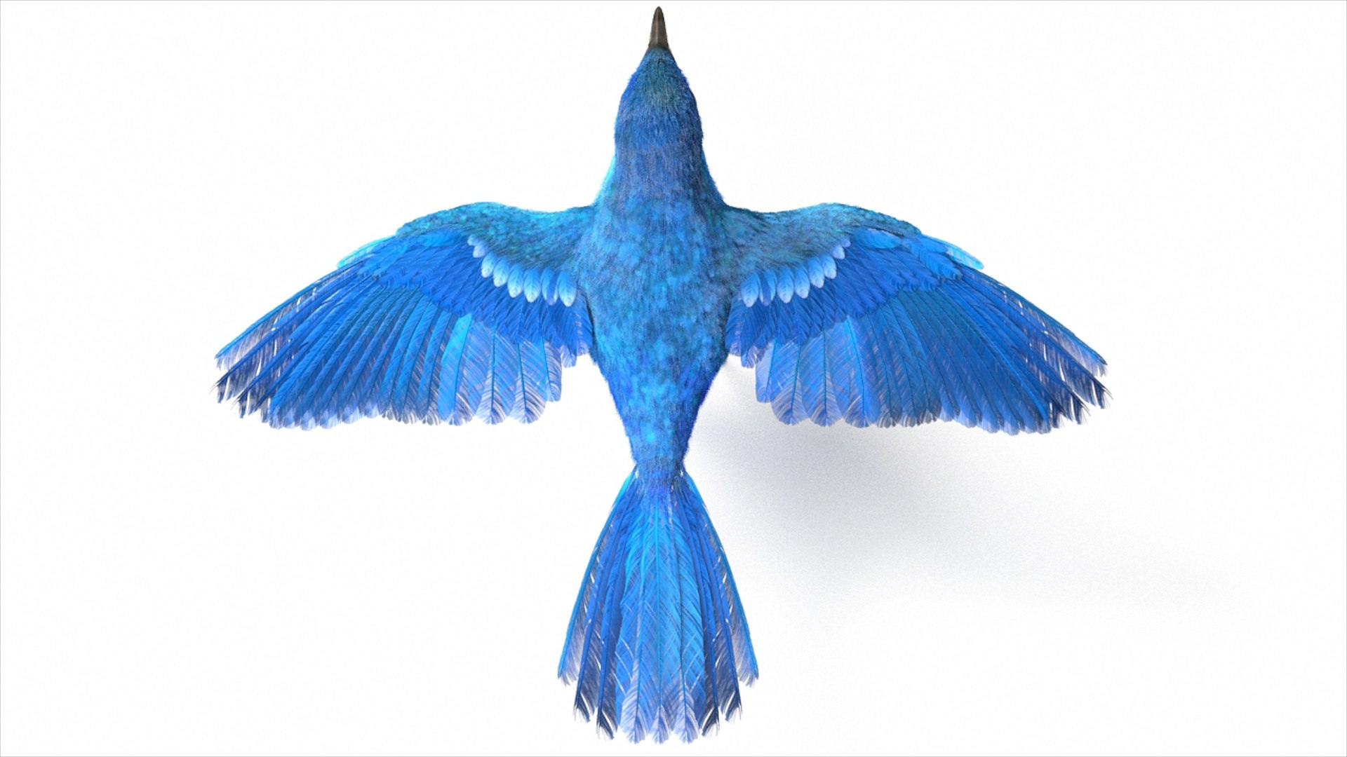 3D Blue Nightingale Bird - TurboSquid 1701773