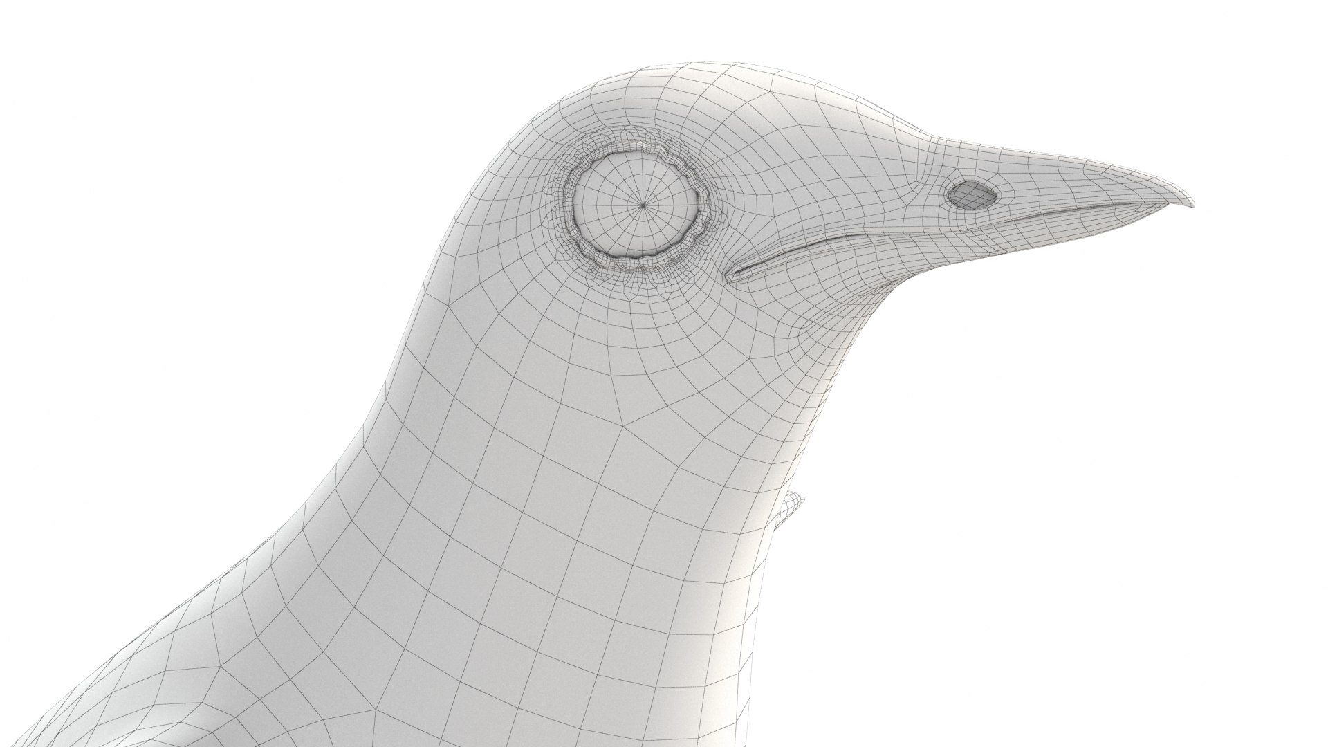 3D Blue Nightingale Bird - TurboSquid 1701773