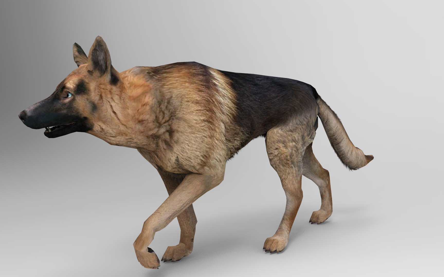 3D модель Dog 35 Animations - TurboSquid 1892203