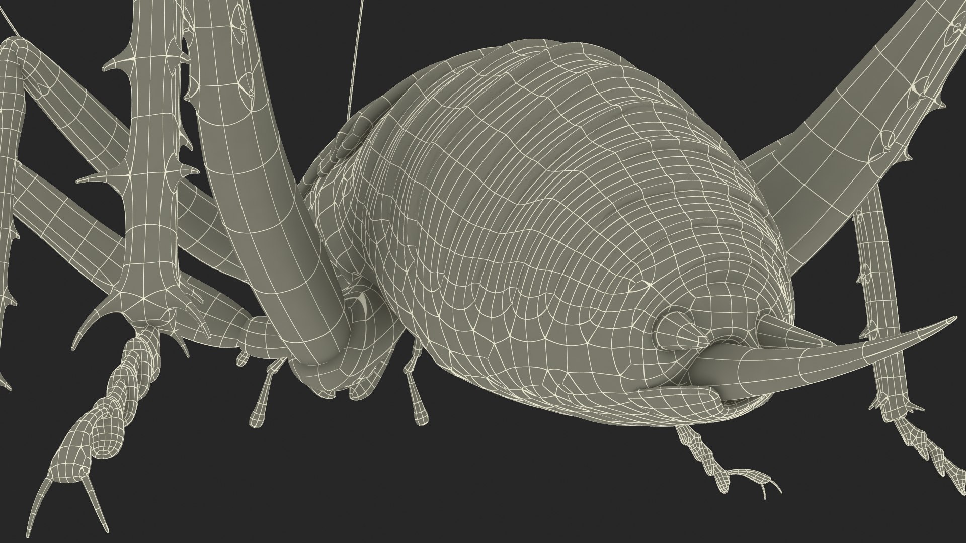 3D Model Weta Cricket - TurboSquid 2211855