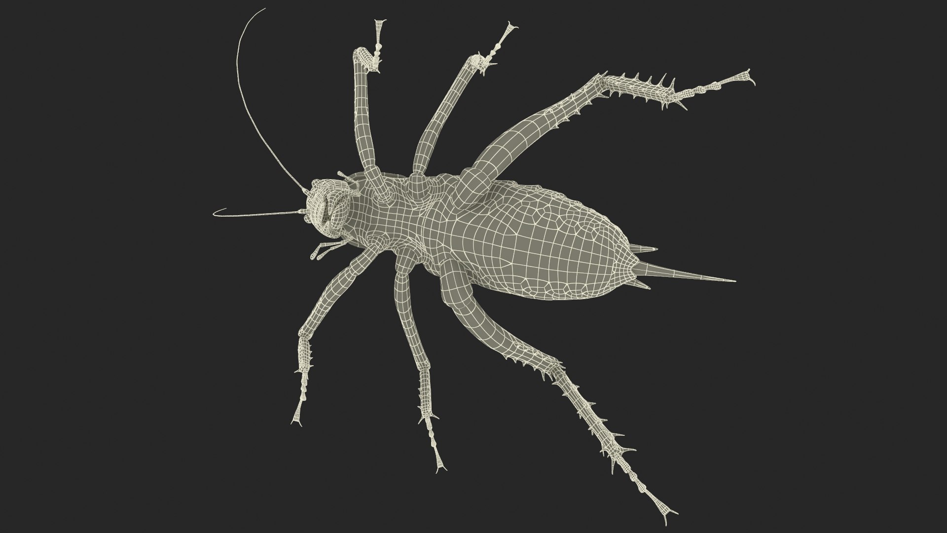 3D Model Weta Cricket - TurboSquid 2211855