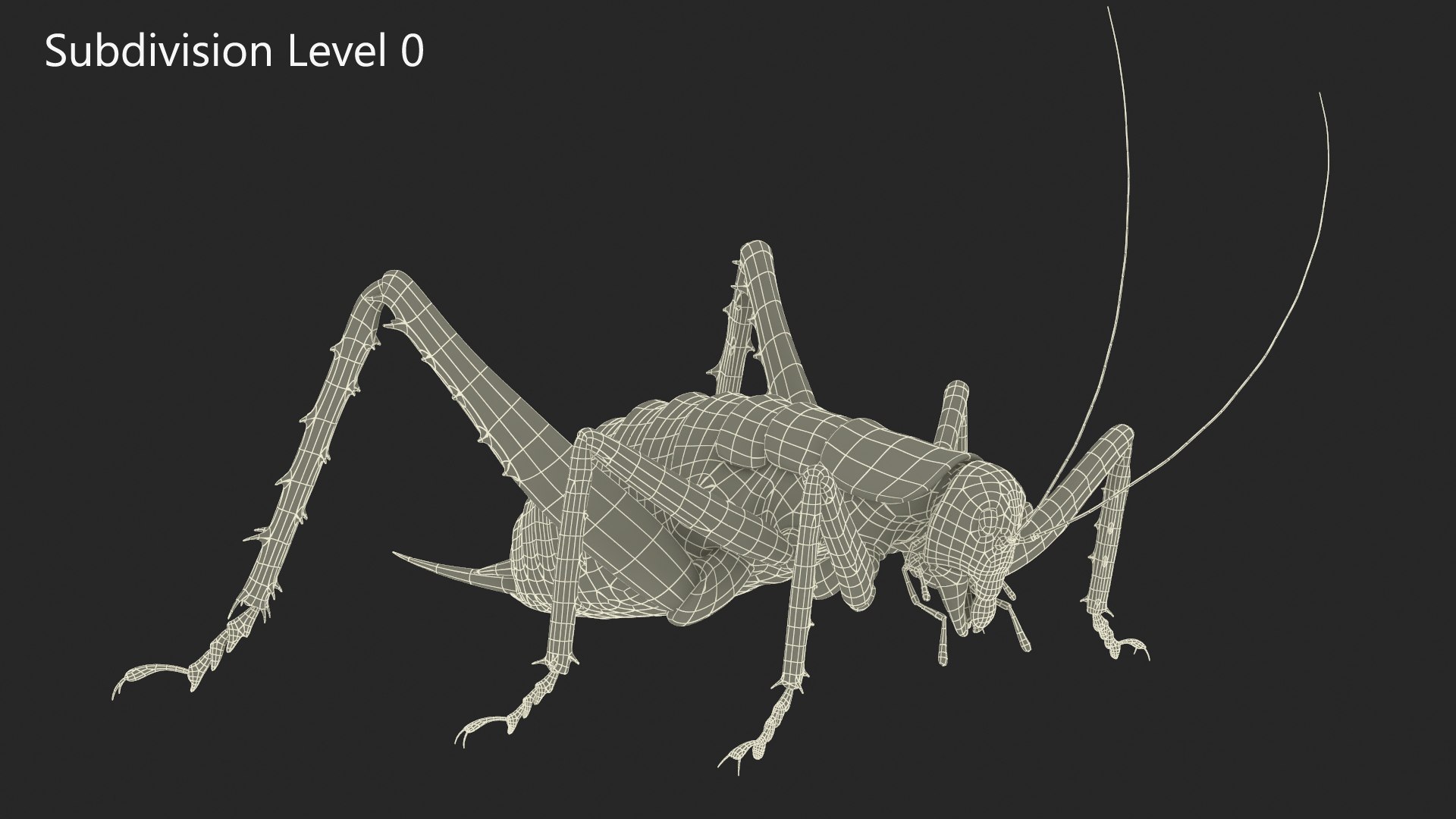 3D Model Weta Cricket - TurboSquid 2211855