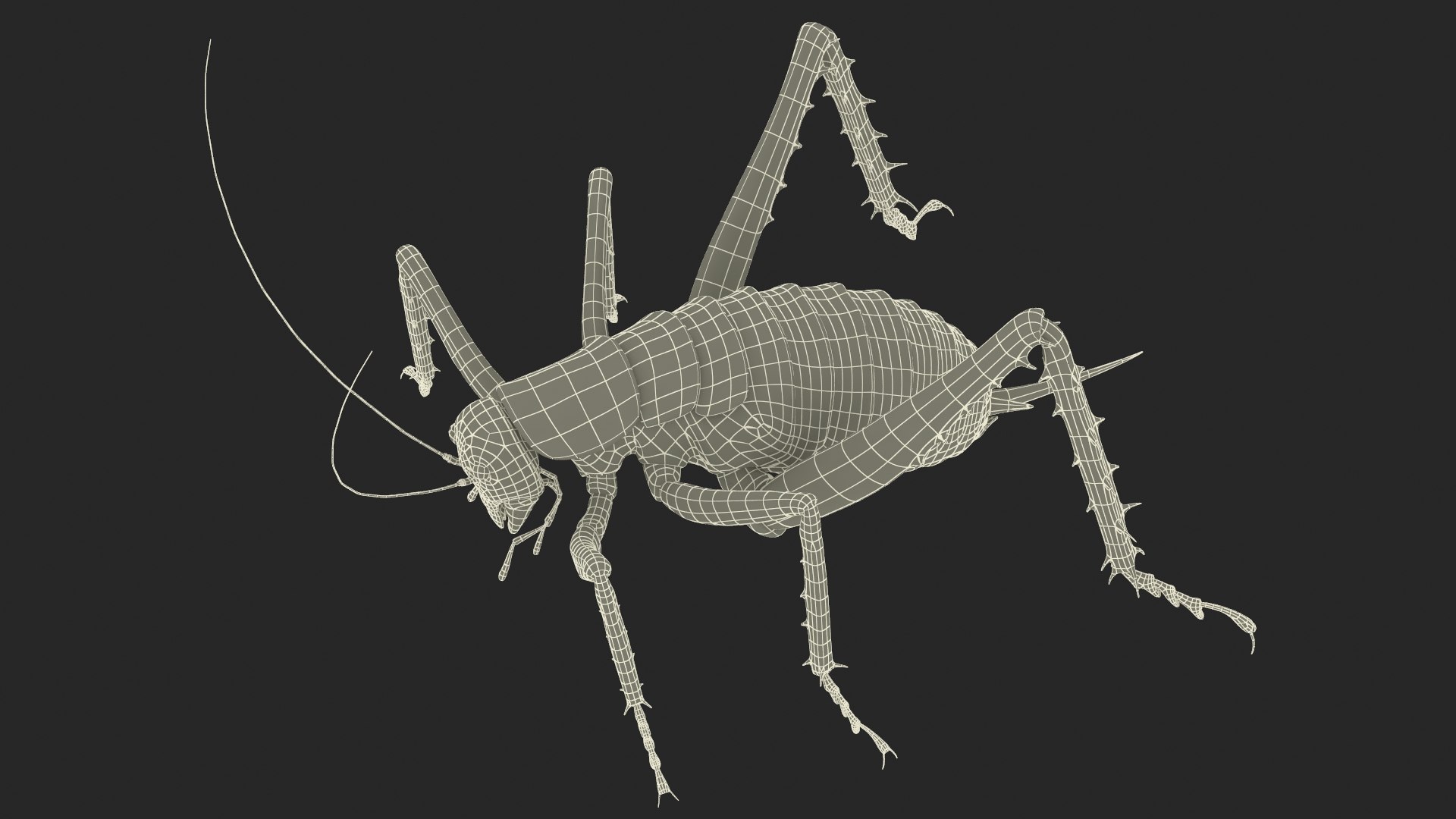 3D Model Weta Cricket - TurboSquid 2211855