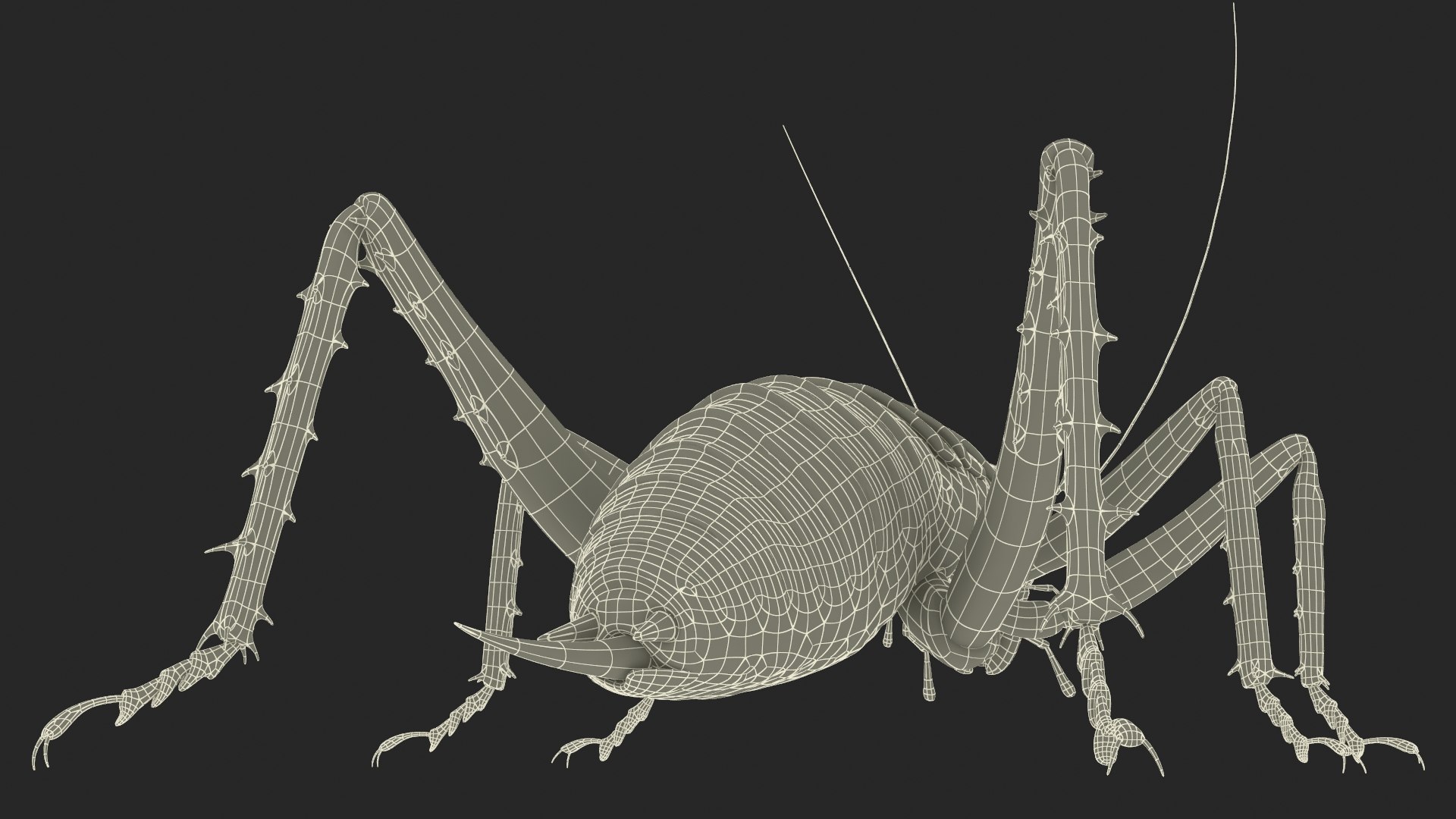 3D Model Weta Cricket - TurboSquid 2211855