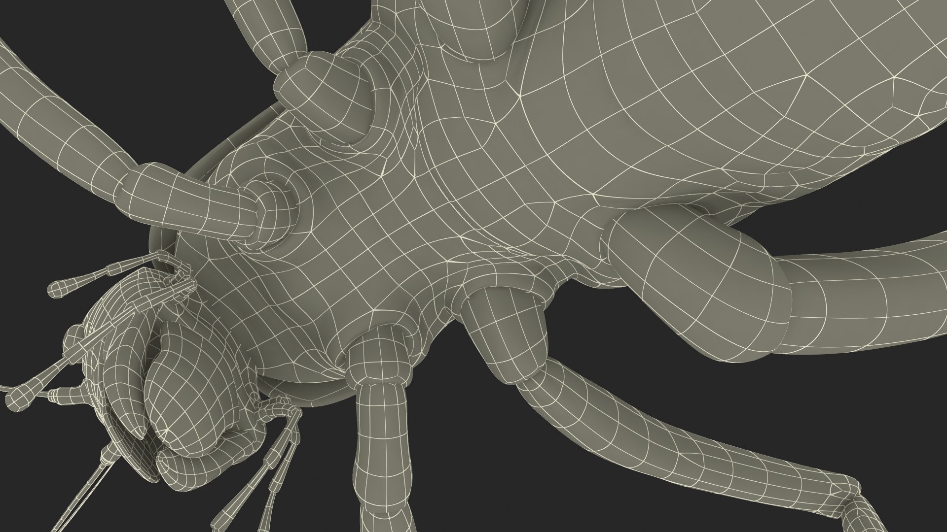 3D Model Weta Cricket - TurboSquid 2211855