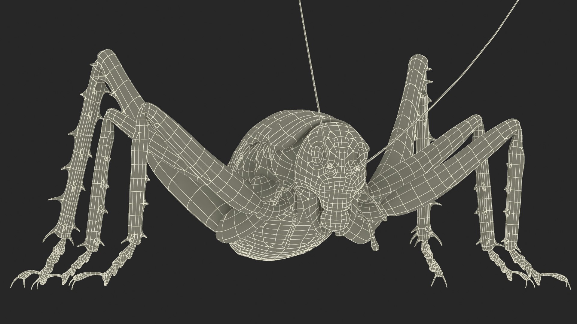 3D Model Weta Cricket - TurboSquid 2211855