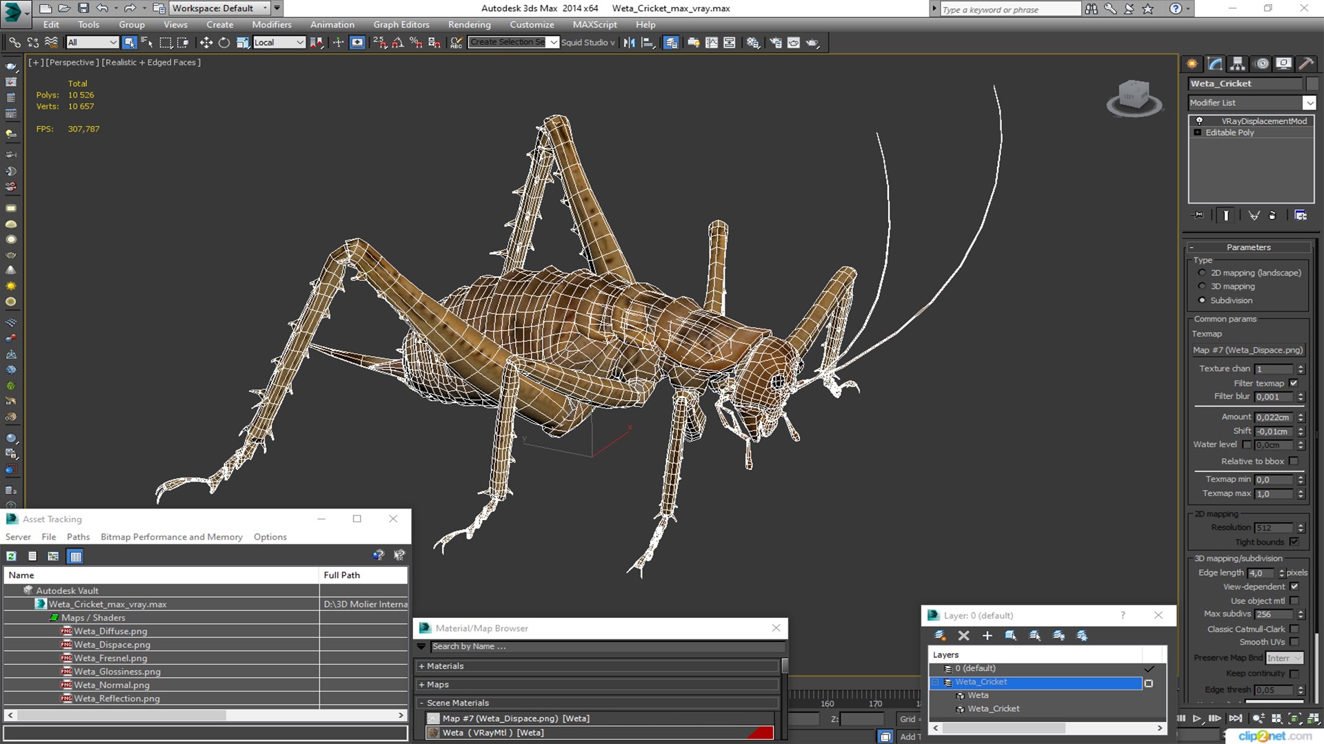3D Model Weta Cricket - TurboSquid 2211855