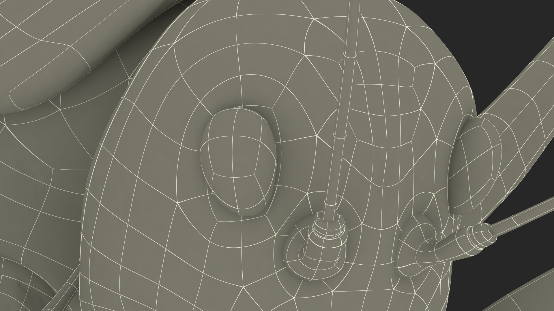 3D Model Weta Cricket - TurboSquid 2211855