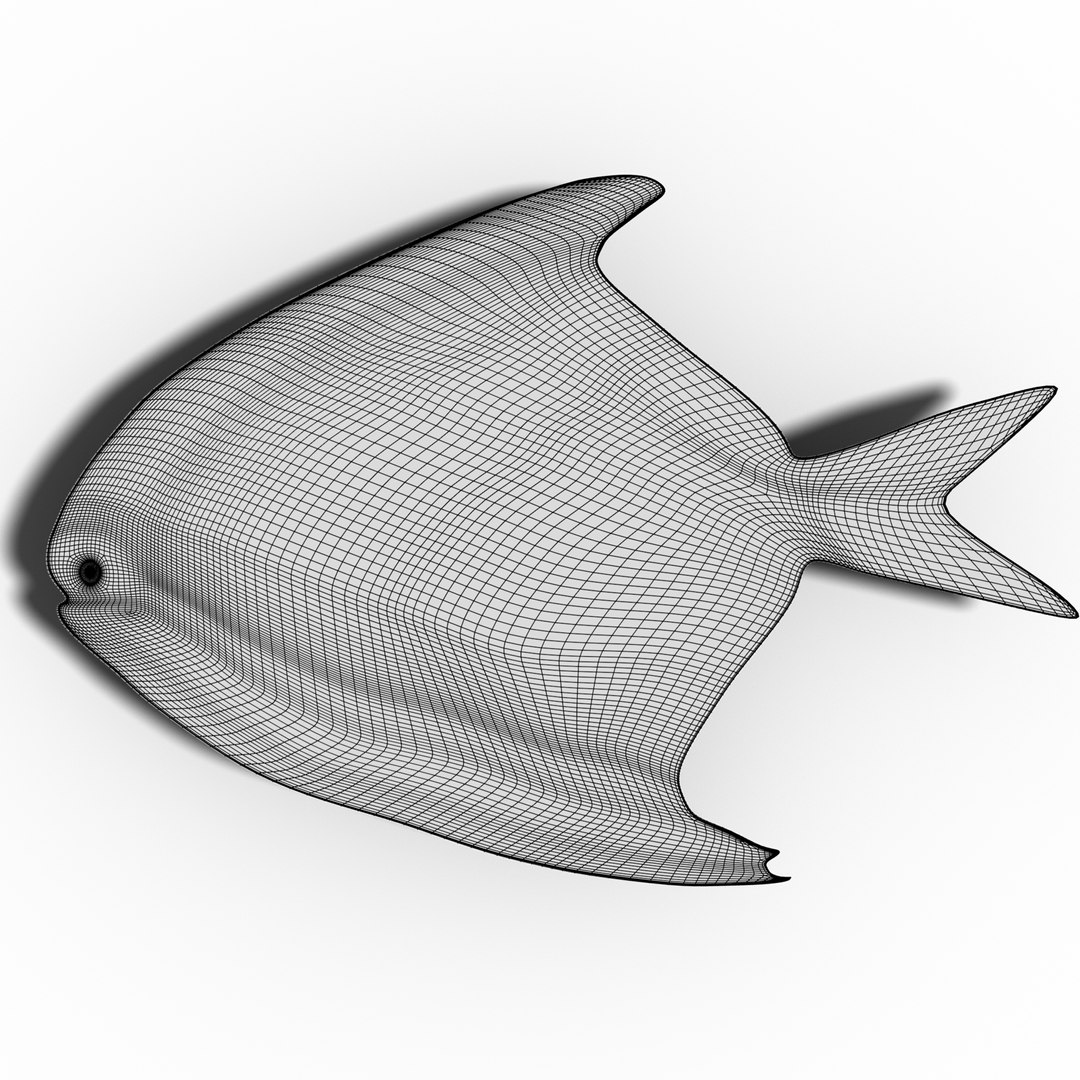 Pomfret Fish 3D Model - TurboSquid 2086578