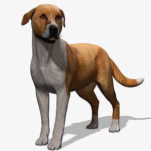 Dog STL Models for Download | TurboSquid