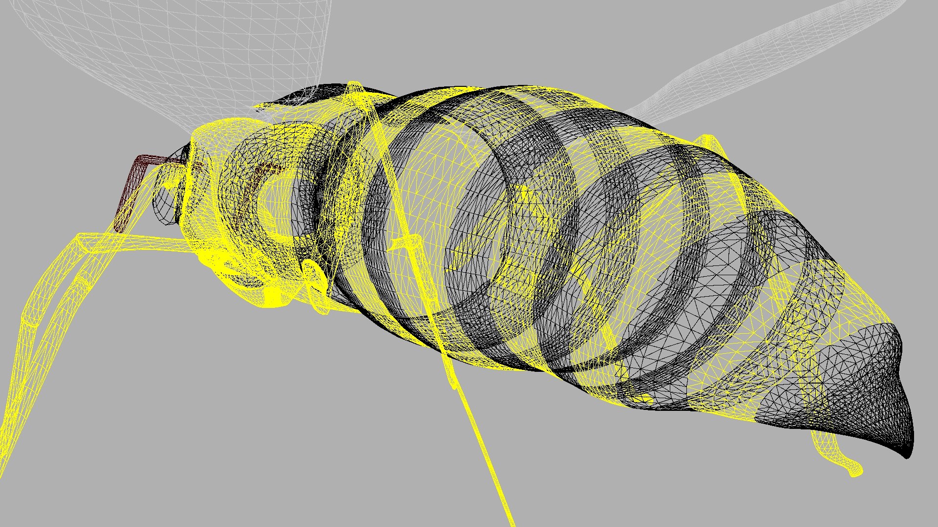 3D Bee IK Project - TurboSquid 2030169