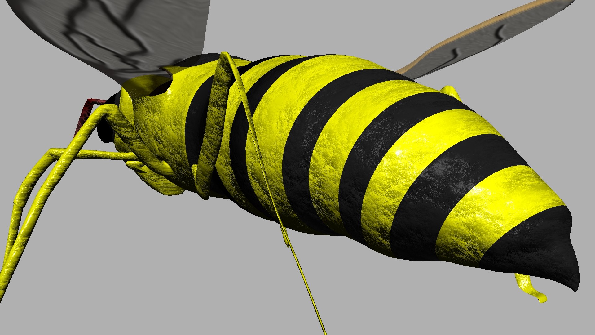3D Bee IK Project - TurboSquid 2030169