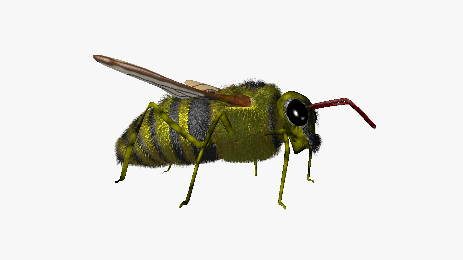 3D Bee IK Project - TurboSquid 2030169