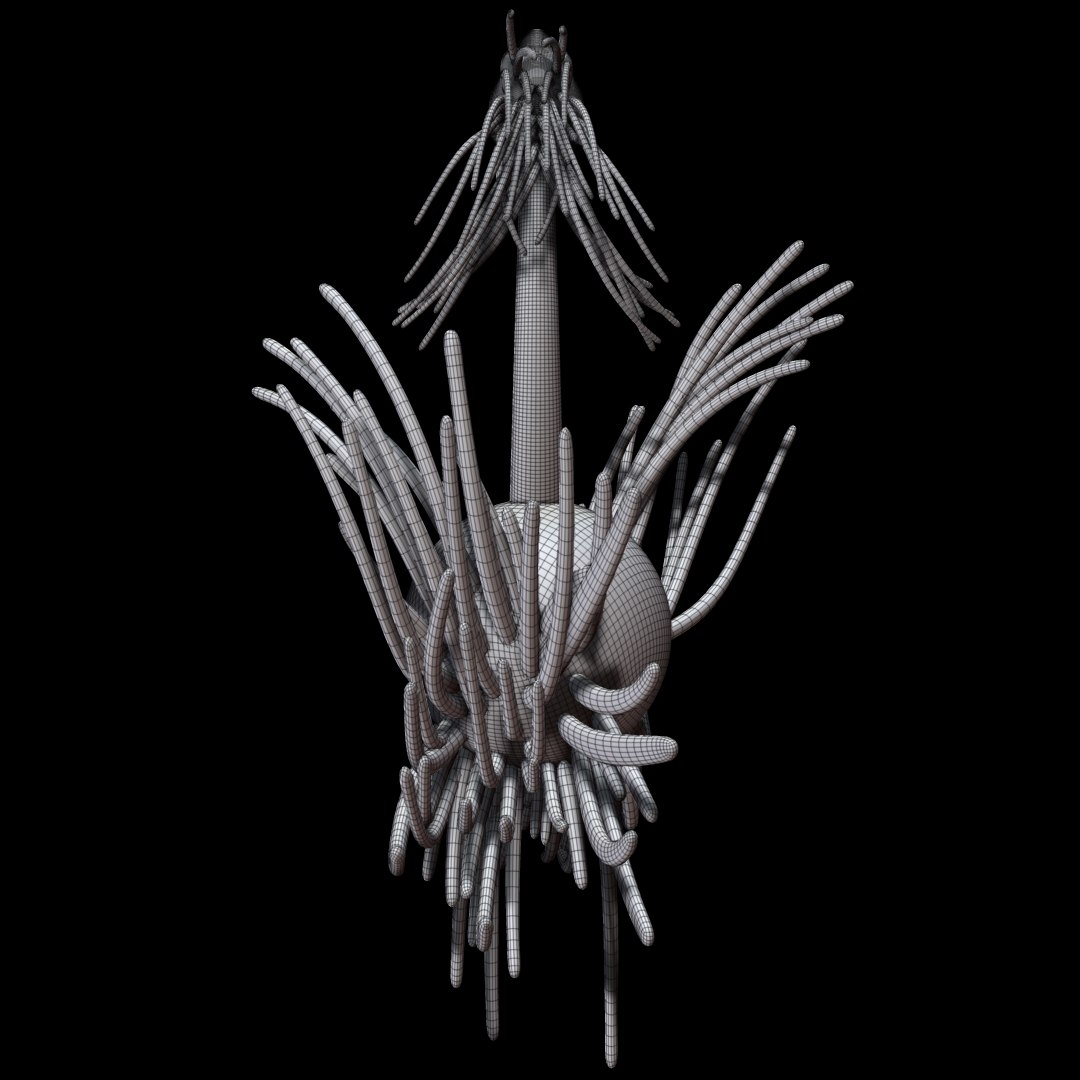 3d Model Phoenix Bird