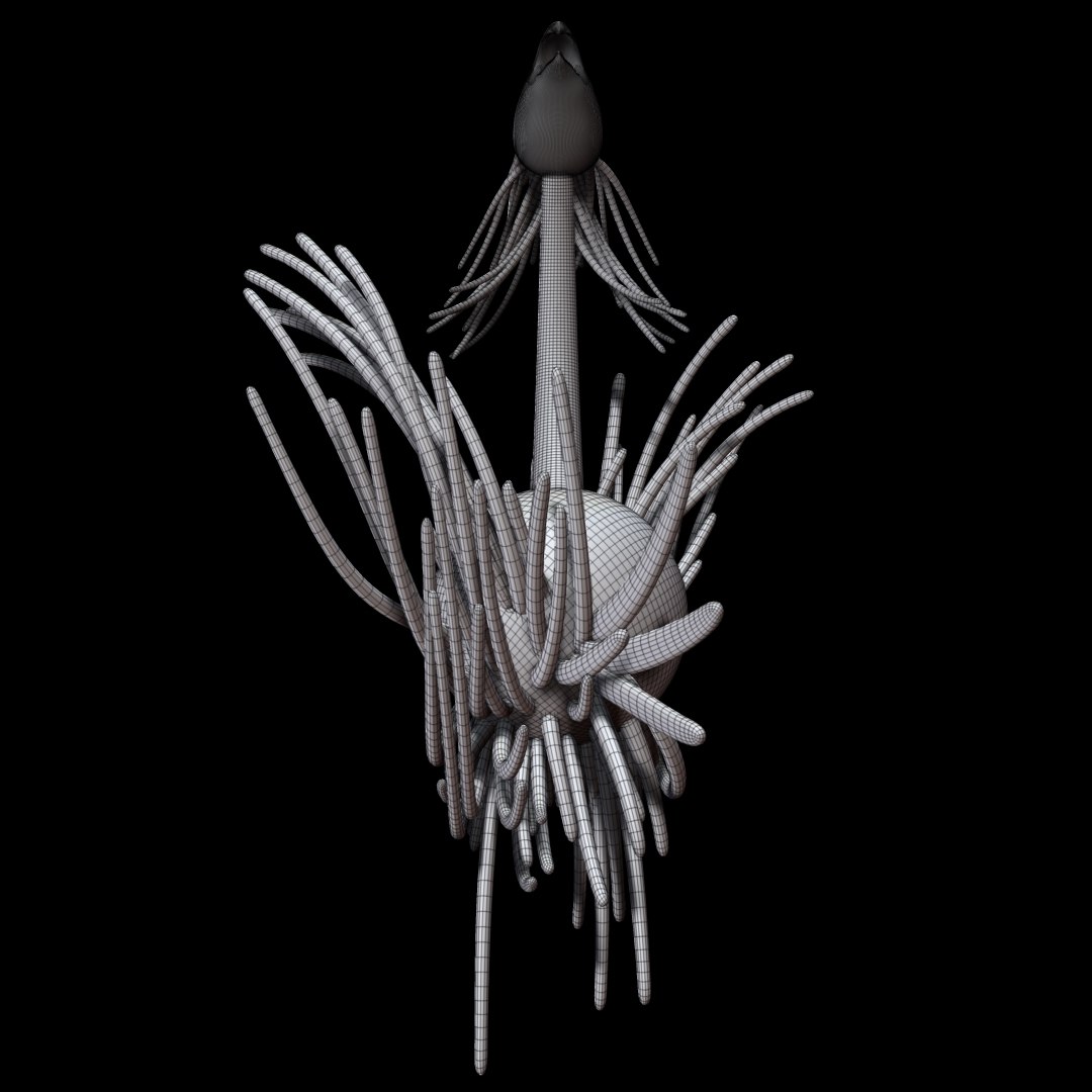 3d Model Phoenix Bird