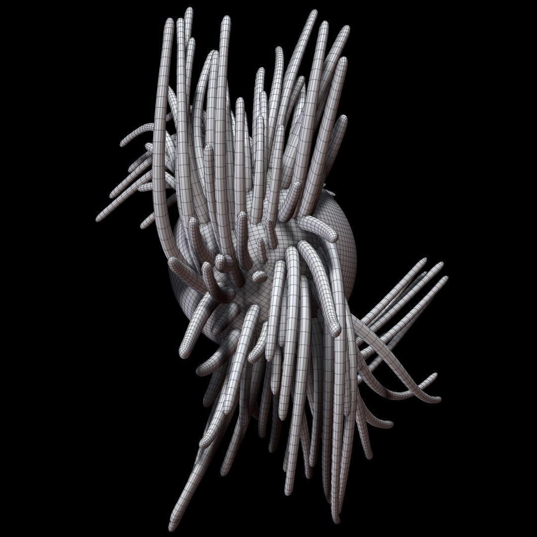 3d Model Phoenix Bird