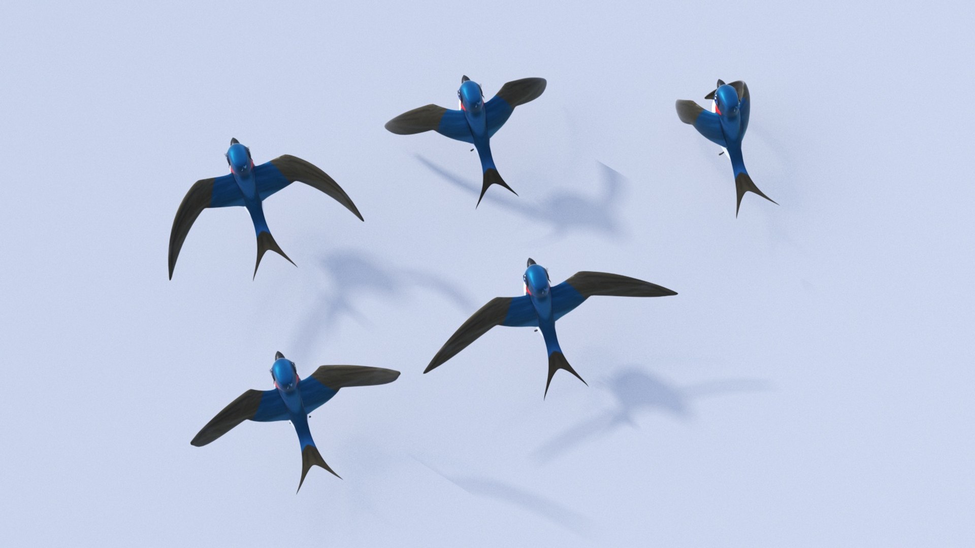 3D Swallow Sitting Flying - TurboSquid 1309190