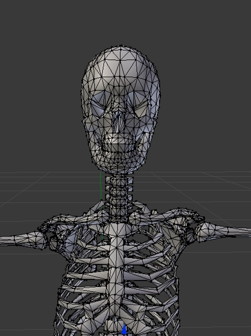 3d Model Skeleton