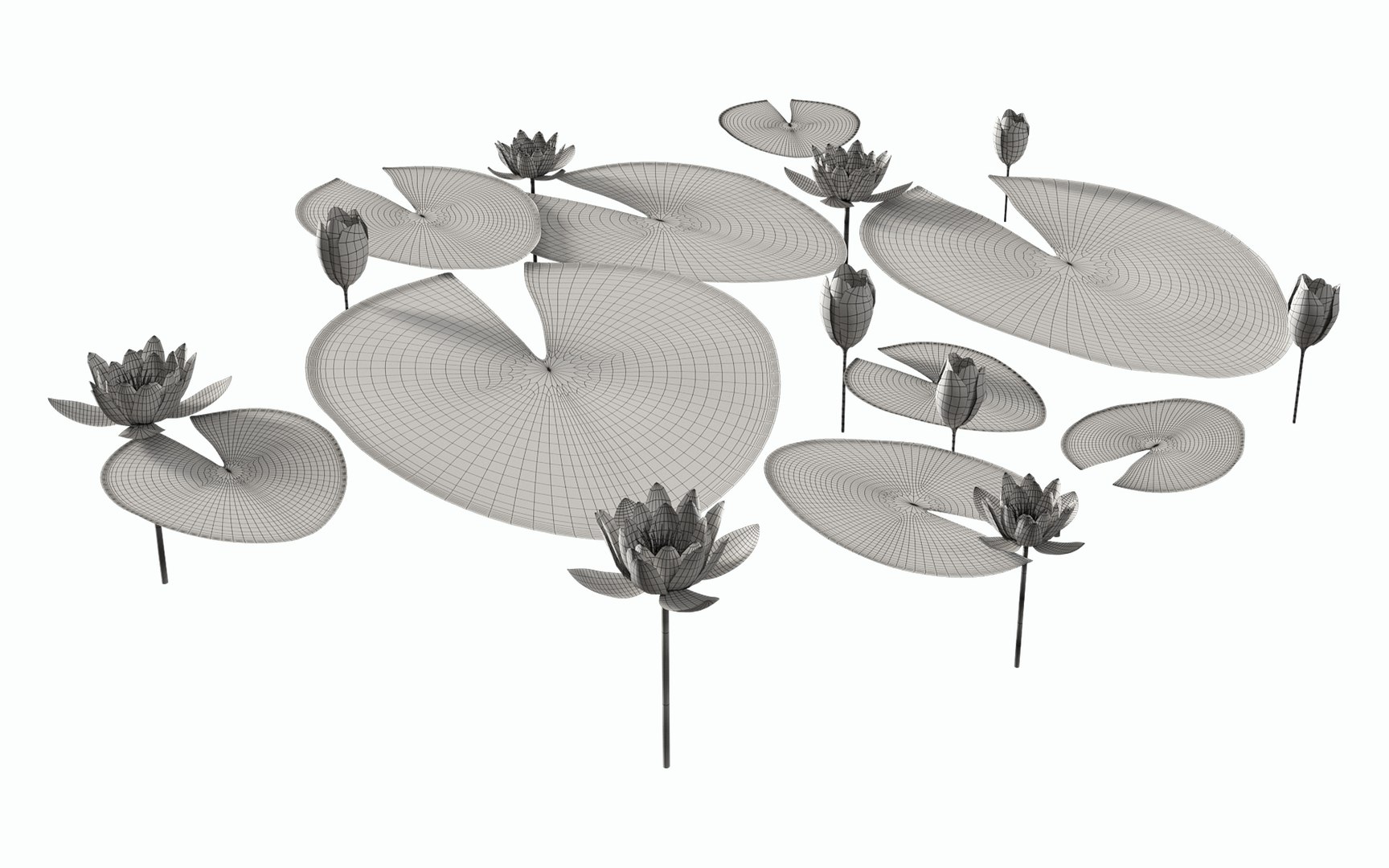 3D Water Lily Model - TurboSquid 2338884