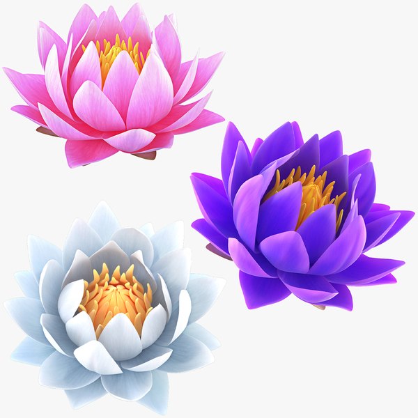 modelo 3d Modelo 3D realista de Nymphaea Siam - Material PBR 4K premium ...