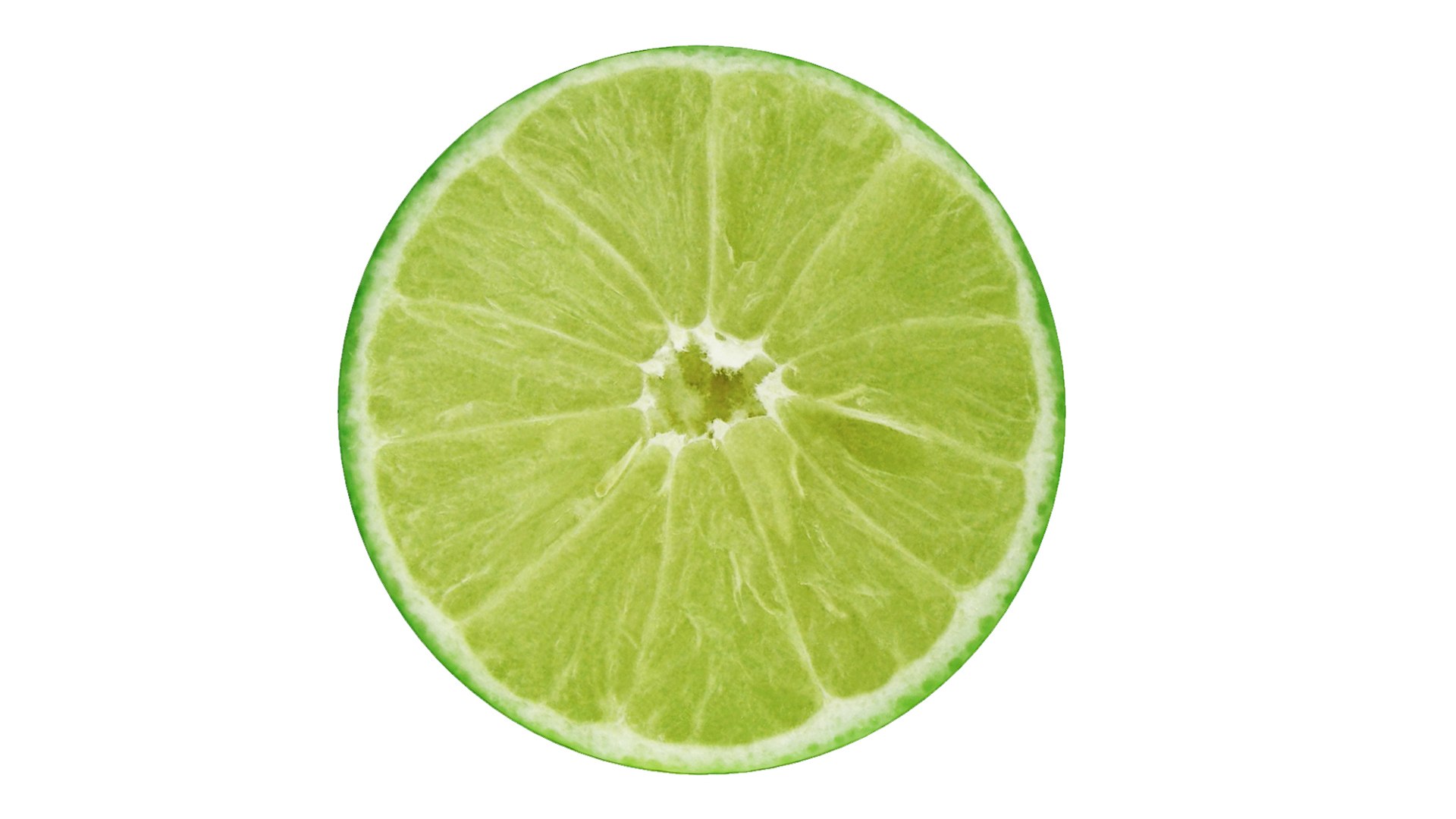 3D Lime Round Slice 3 - TurboSquid 1904115