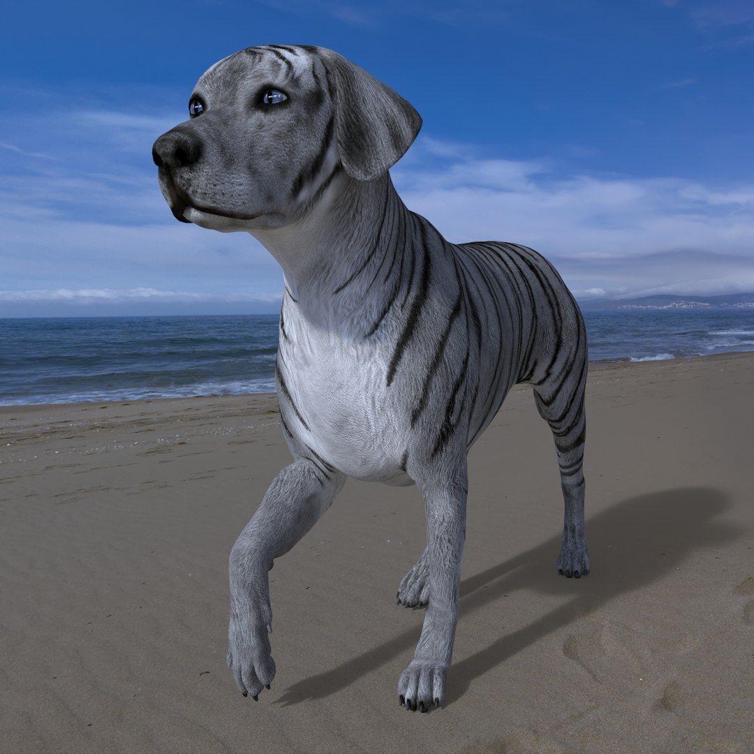 LAB-043 Dog Walking 3D Model - TurboSquid 1915434