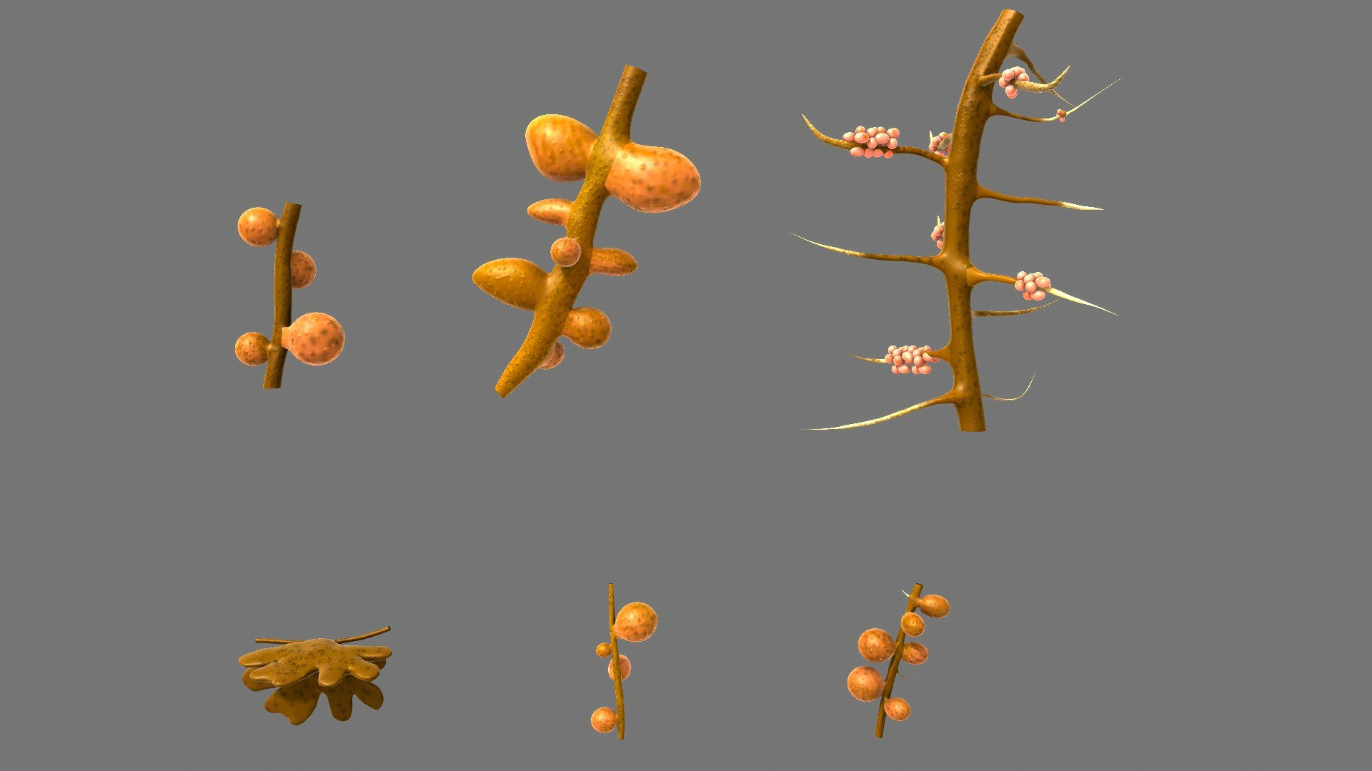 Root Nodules Model - TurboSquid 1782422