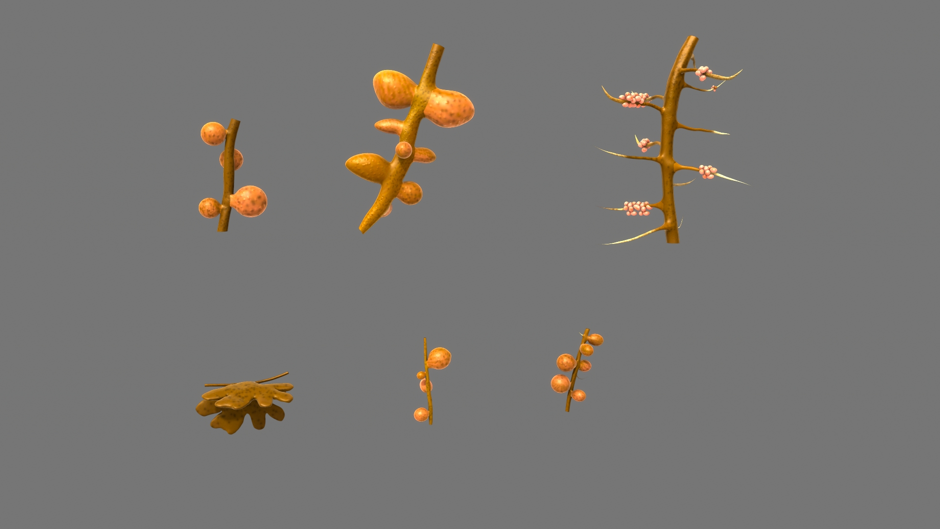 Root Nodules Model - TurboSquid 1782422