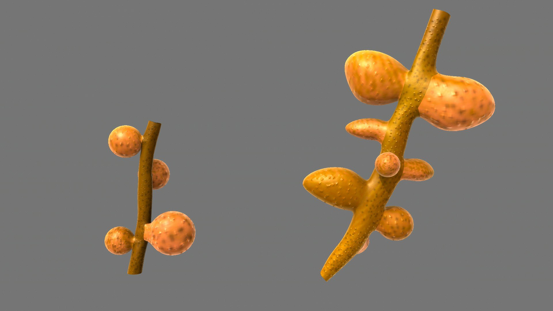Root Nodules Model - TurboSquid 1782422