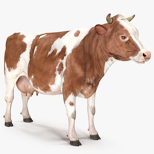 3D model dairy cow fur rigged - TurboSquid 1257280
