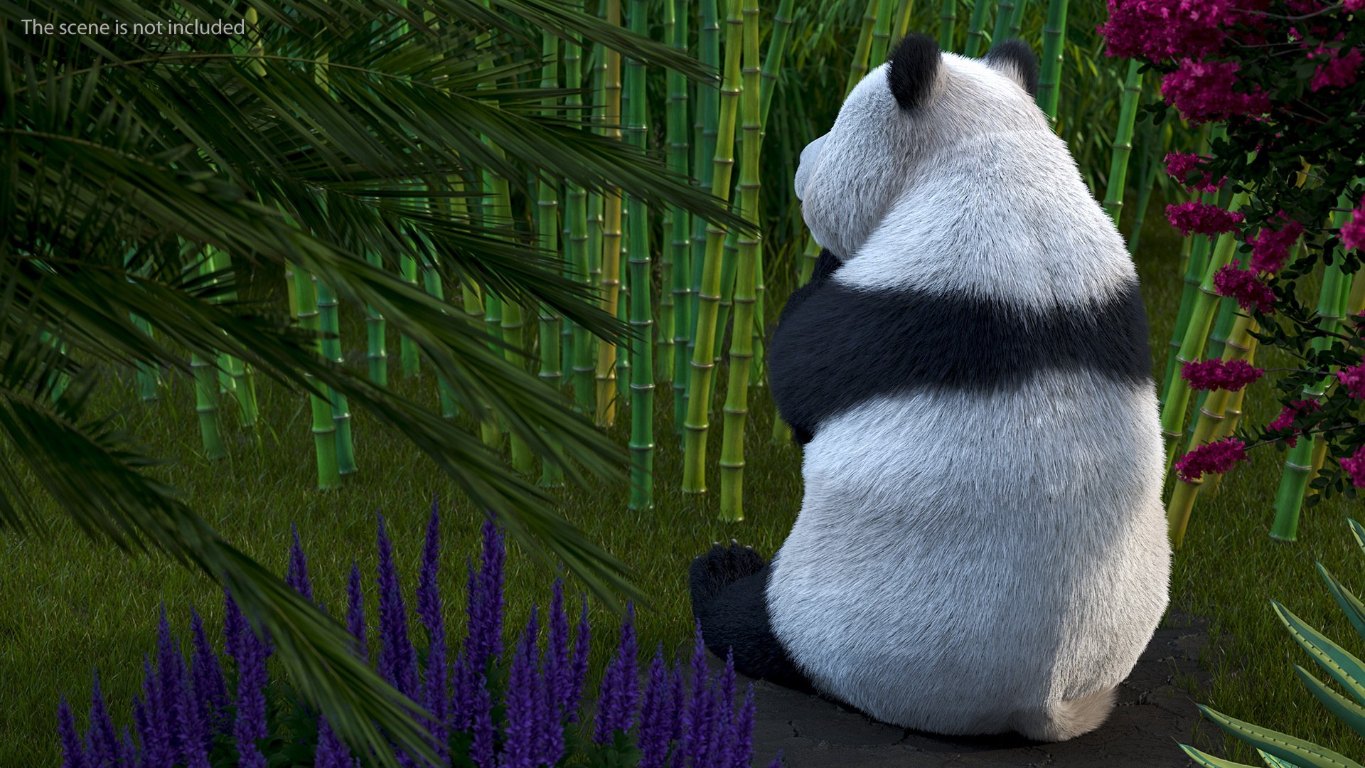 3D Giant Panda Sitting Pose Fur - TurboSquid 1812168