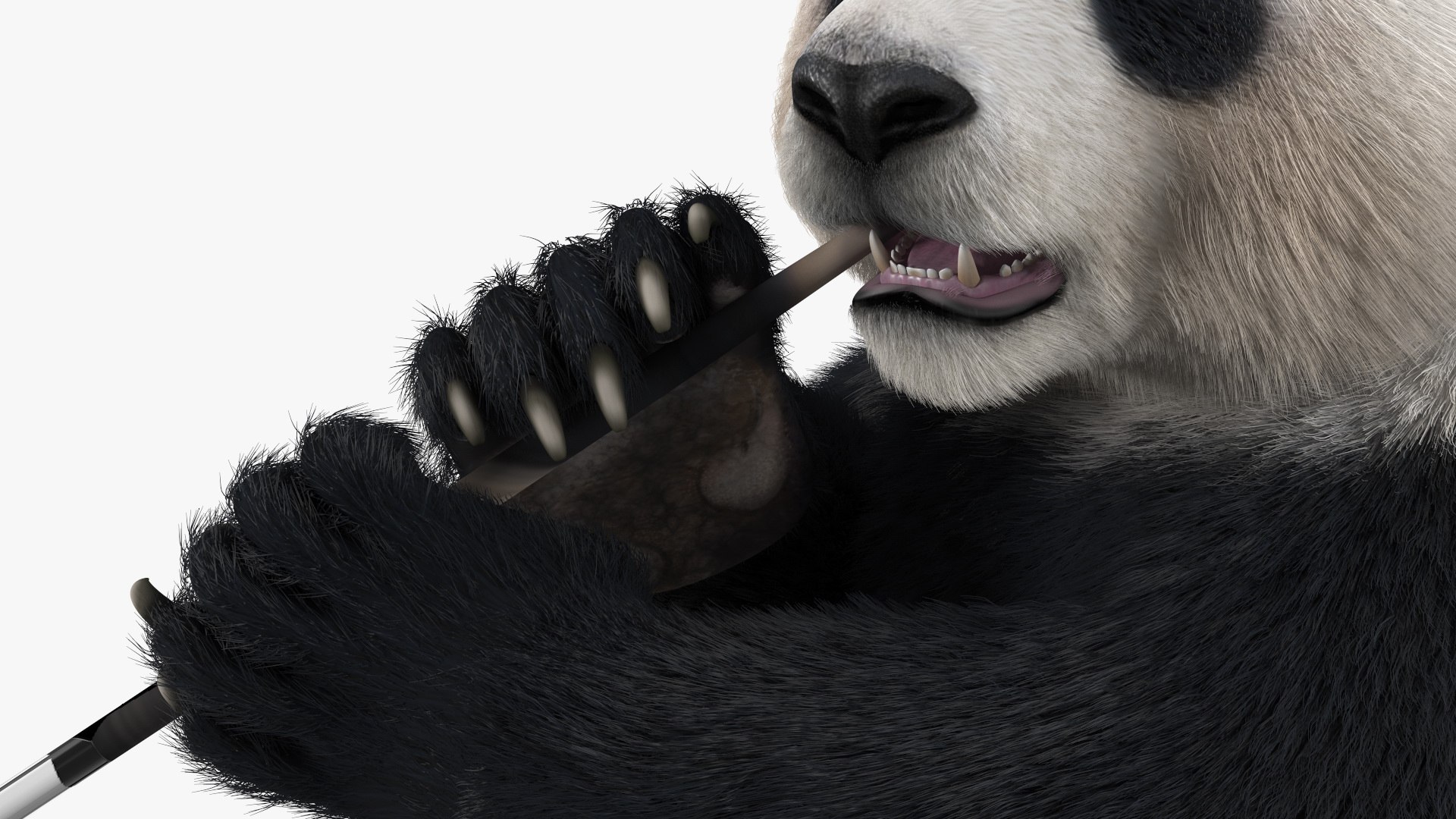 3D Giant Panda Sitting Pose Fur - TurboSquid 1812168