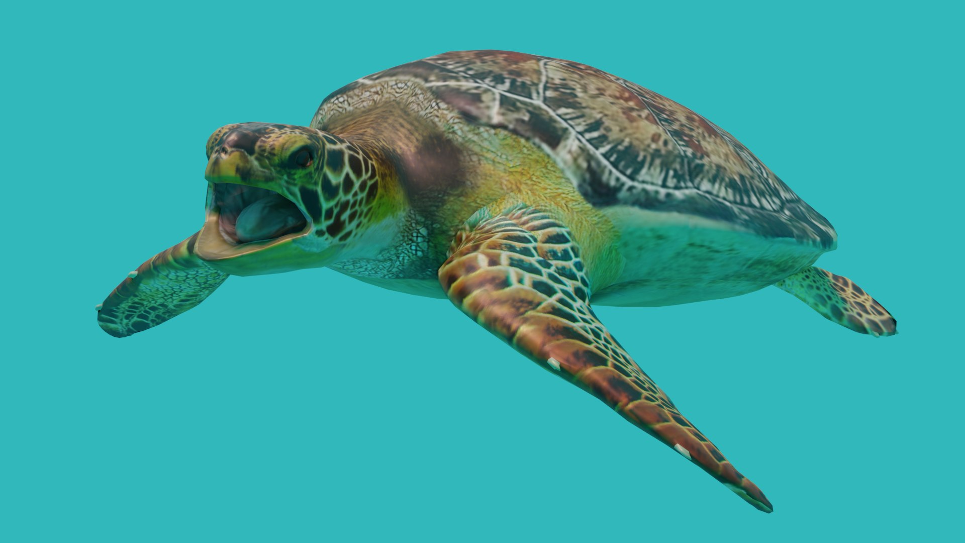 3D Turtle Sea Model - TurboSquid 1599121